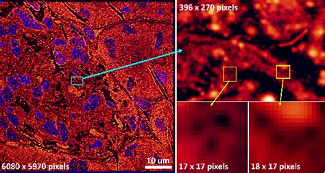 Patch Gradient Descent Training Neural Networks On Very Large Images Paper And Code