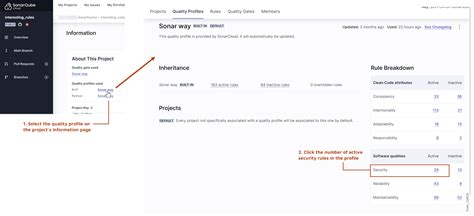 Project Security Reports Sonarqube Cloud Documentation