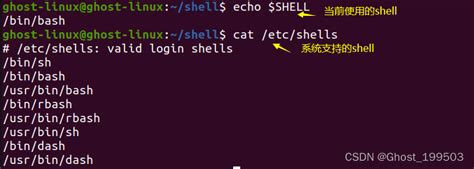 Shell编程 输入输出shell 输入 Csdn博客