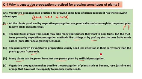 Why Is Vegetative Propagation Practised For Growing Some Types Of