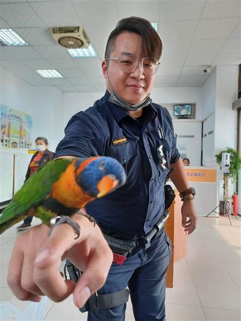 貪玩離家不知回家路 牠聰明找警報案順利返家 社會 中時