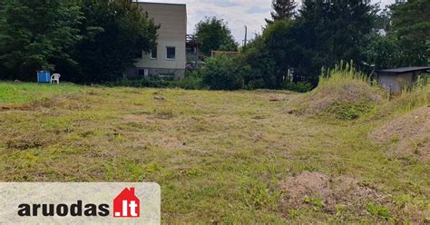 Smelynes Sodu G Skelbimai Skelbiu Lt