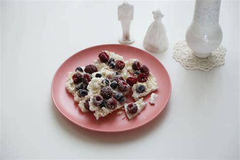 그릭요거트바크 요거트아이스크림 건강간식