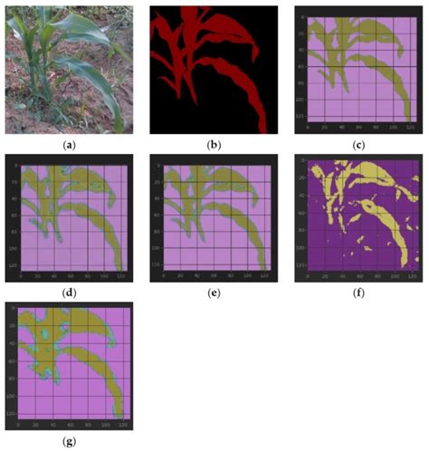 Sensors Free Full Text A New Semantic Segmentation Framework Based On Unet