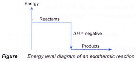 Exothermic Reaction Energy Profile Diagram