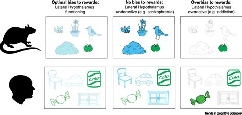 The Cognitive Lateral Hypothalamus Trends In Cognitive Sciences