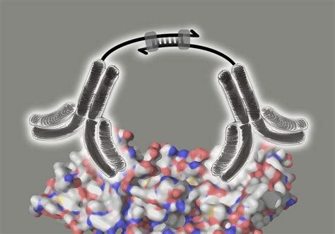 Olink The Next Generation Of Protein Biomarker Identification