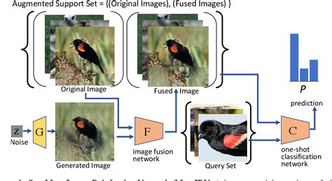 Figure 1 From Meta Reinforced Synthetic Data For One Shot Fine Grained Visual Recognition