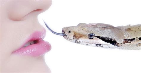 Belajar Python Untuk Pemula Cerita Ediweb Dev
