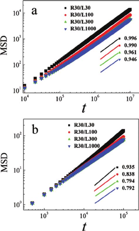 The Non Gaussian Parameter Vs T ͑ Mcs ͒ For Different Chain Lengths Of