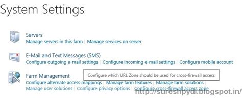 Sharepoint 2013 Configure External Access For Sharepoint Sites