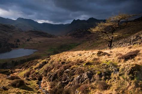 Camera Metering Modes Explained Lenscraft