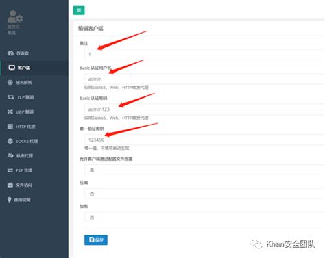 关于内网穿透：nps神器 阿里云开发者社区