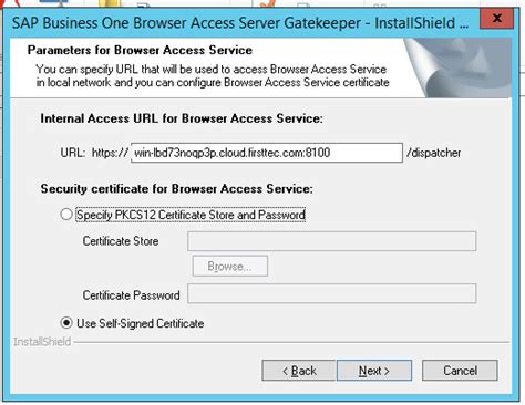 SAP Business One Browser Access Installation SAP B1
