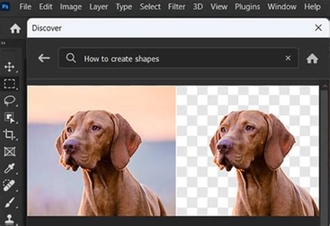 如何在 Photoshop 中编辑图片背景(快速且简单) 如何在 Photoshop 中编辑图片背景(快速且简单)