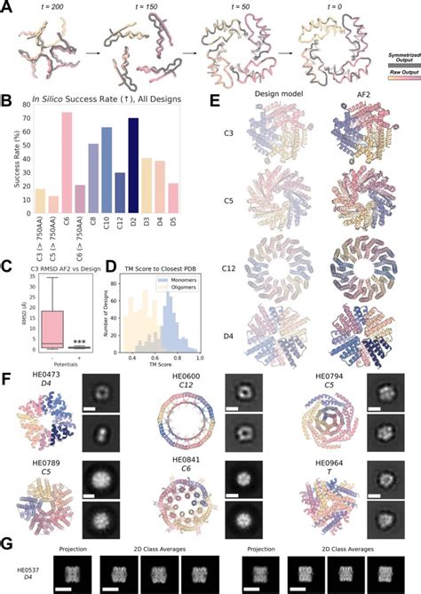 De Novo Design Of Protein Structure And Function With Rfdiffusion Pubmed