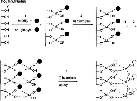 Tio2 Nanotube With Molecular Imprinting Functionalization Eureka Patsnap