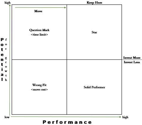 Performance Potential Matrix Teamstrength Inc