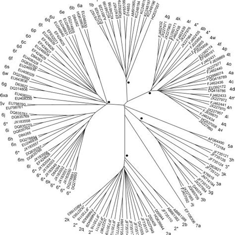 Unassigned Complete Coding Region Sequences Download Table
