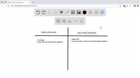 SOLVED Differentiate Between Diffusion And Osmosis Numerade