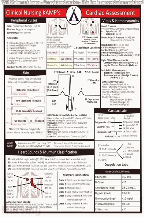 Epic Charting Cheat Sheet For Nurses Minimalist Chart Design