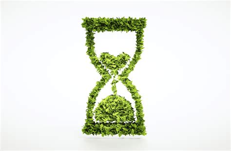 Plant Extinction Is A Reality Which Can Be Reversed