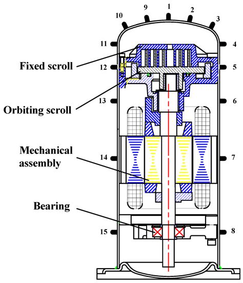 Entropy Special Issue Wavelet Entropy Computation And Applications