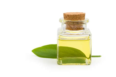 오일은 클리핑 경로와 흰색 배경에 뚜껑과 녹색 잎유리 병에 공장에서 추출된다 0명에 대한 스톡 사진 및 기타 이미지 0명 Thc 건강관리와 의술 Istock