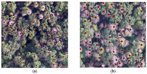 An Individual Tree Segmentation Method That Combines Lidar Data And