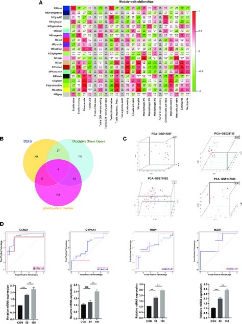 A Module Trait Relationships Between Different Clustered Modules And