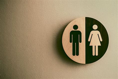 How Our Minds Neurosexism And Society Create The Male And Female