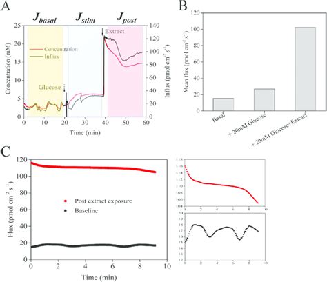 a representative example of glucose flux and concentration and mean