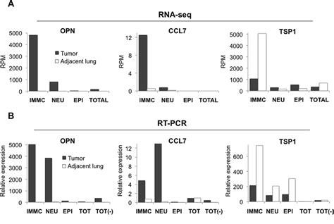 Rna Deep Sequencing Analysis Unravels Differentially Regulated Genes In Download Scientific