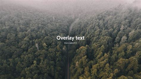 Overlay Text On Image