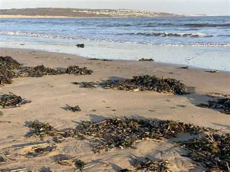 Tide Line © Alan Hughes Cc By Sa 2 0 Geograph Britain And Ireland