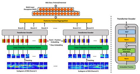 Framework Of MViT For Multi Channel EEG Feature Learning It Consists Download Scientific