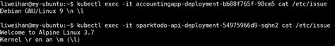 Dns Problem In Apline Based Docker Image Issue Kubernetes Sigs Kind Github