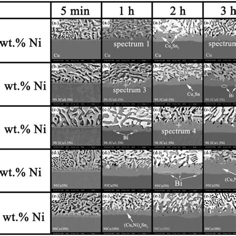 Eds Analysis Results A Eds Pattern Of Spectrum 5 In Fig 8a1 B Eds Download Scientific