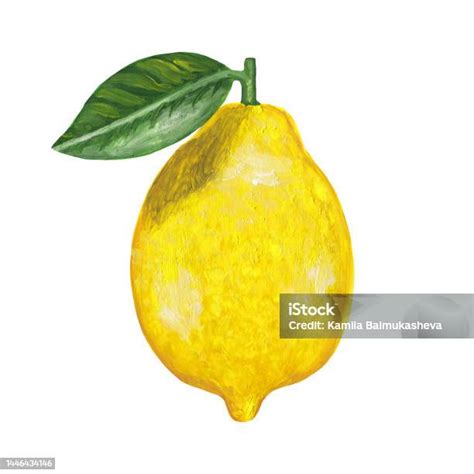 Lemon Utuh Dengan Gambar Tangan Daun Lemon Kuning Diisolasi Di Atas