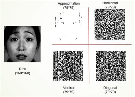 Applying Dwt On A Sample Of Jaffe Dataset Download Scientific Diagram