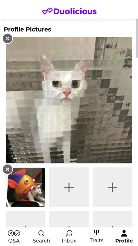 Duolicious Github