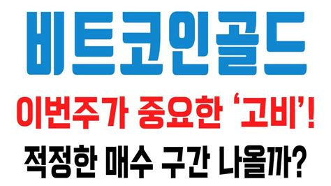 비트코인골드 코인 이번주가 중요한 ‘고비 적정한 매수 구간 나올까 Youtube
