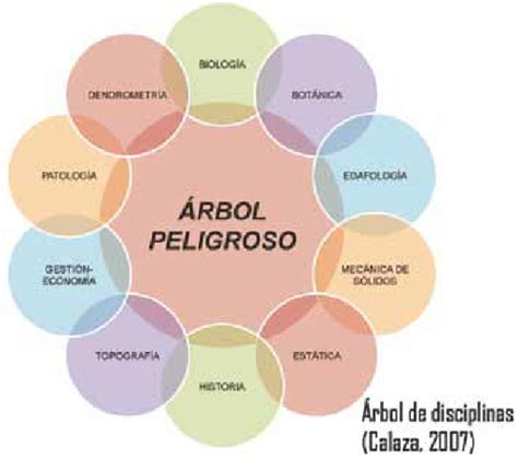 Tree Of Disciplines Related To Tree Hazard Assessment Download Scientific Diagram