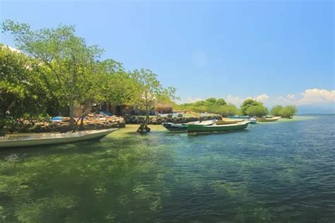 Mangrove Forest Nusa Lembongan Marine Biota Conservation Point In Bali