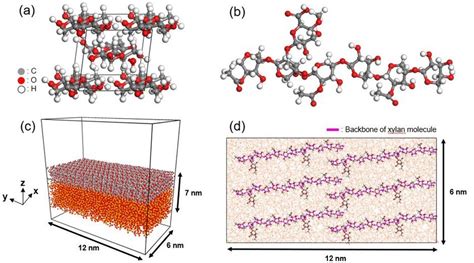 A Monoclinic Crystalline Structure Of Cellulose Iβ B Structure Of