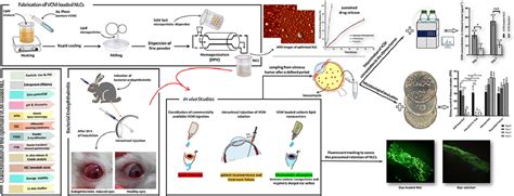 Topical Ocular Delivery Of Vancomycin Loaded Cationic Lipid Nanocarriers As A Promising And Non