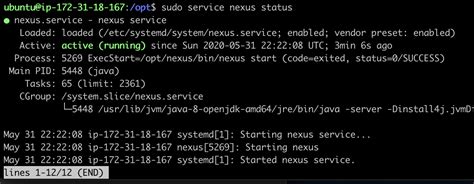 Coaching On Devops And Cloud Computing Install Sonatype Nexus 3 On