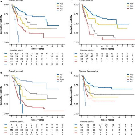 Overall Survival Curves According To Ecog Performance Status And