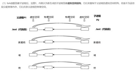 进程概念以及进程相关函数的使用进程的使用 Csdn博客 进程概念以及进程相关函数的使用进程的使用 Csdn博客