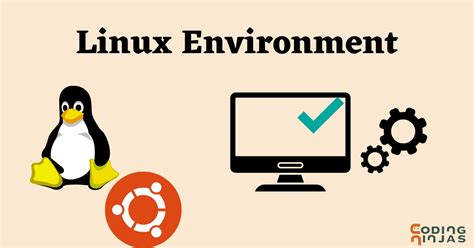 Linux Environment Naukri Code 360